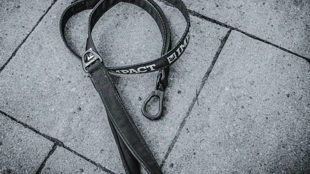 Top Pet Leash Brands and Their Factories Reviewed